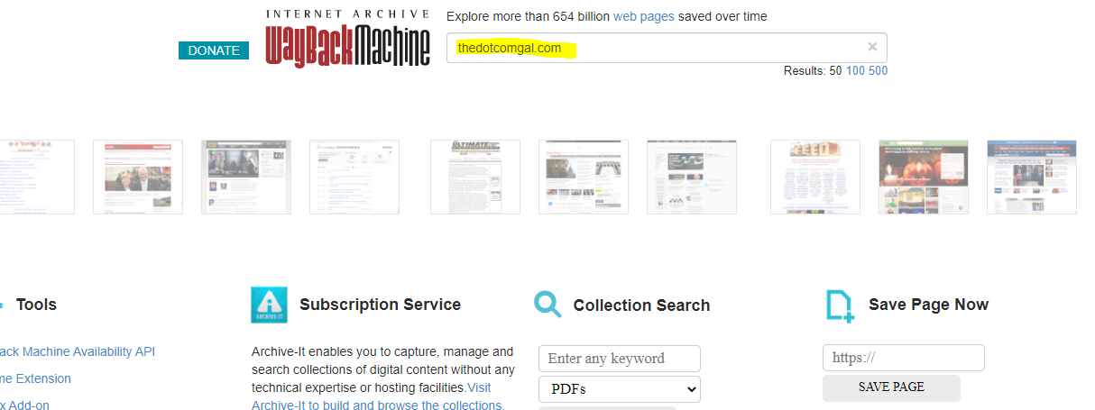 How To Choose A Domain Name For Your Blog – The Dot Com Gal